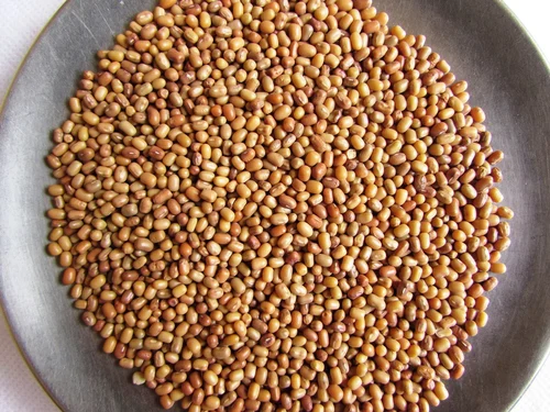 Grains & Pulses — Sais Village Greens